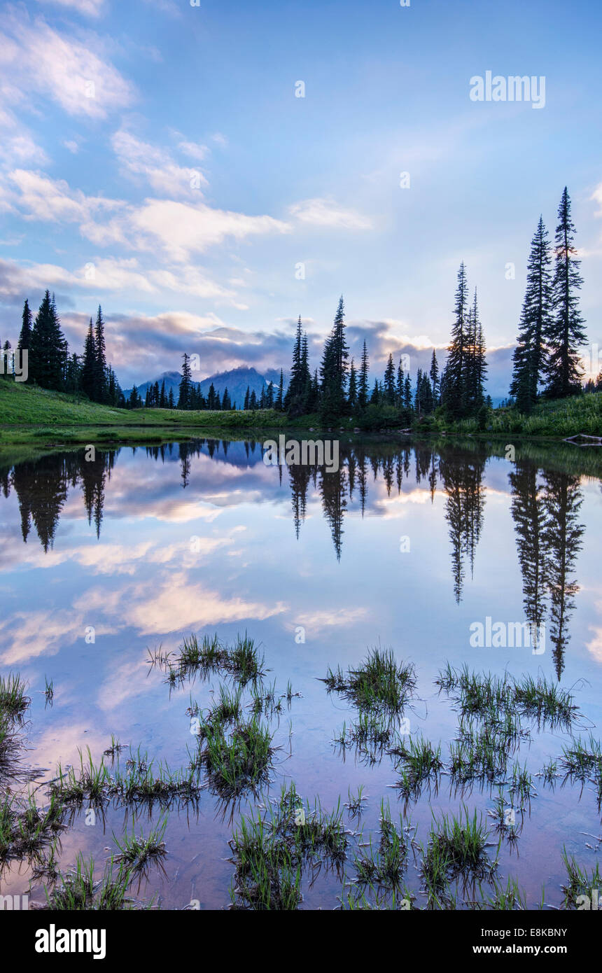 USA, Washington, Mt. Rainier National Park, Tipsoo Lake Sunset (Large ...