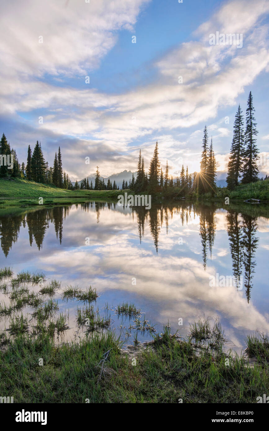 USA, Washington, Mt. Rainier National Park, Tipsoo Lake Sunset (Large ...