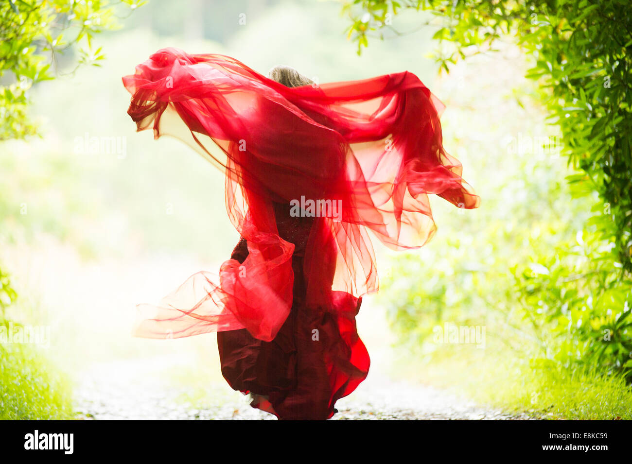 Scarlet woman: rear view of a girl wearing a blood red frock dress in ...