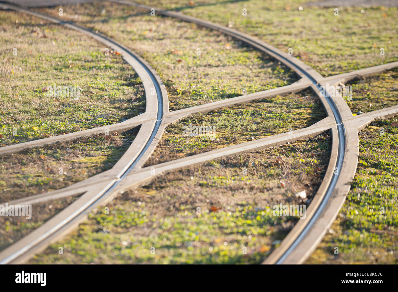 Overgrown railway track hi-res stock photography and images - Alamy