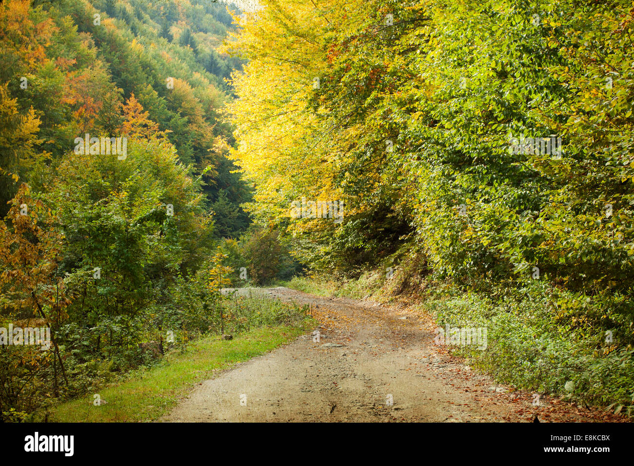 Curving dirt road hi-res stock photography and images - Alamy