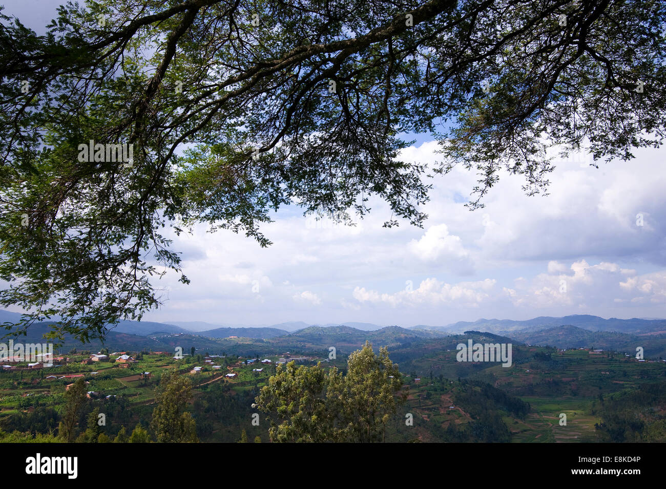 Terrace farming rwanda hi-res stock photography and images - Alamy