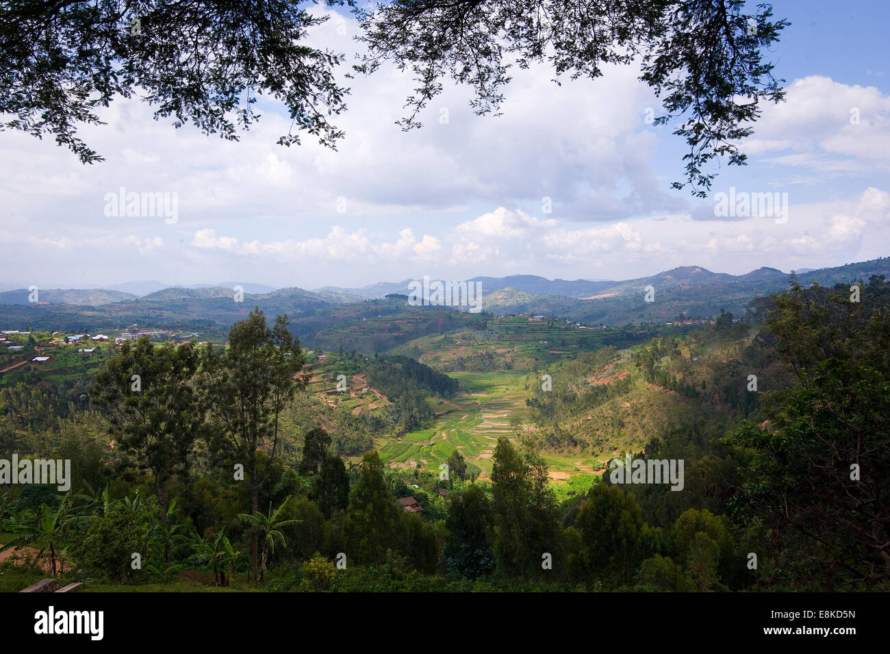 Terrace farming rwanda hi-res stock photography and images - Alamy