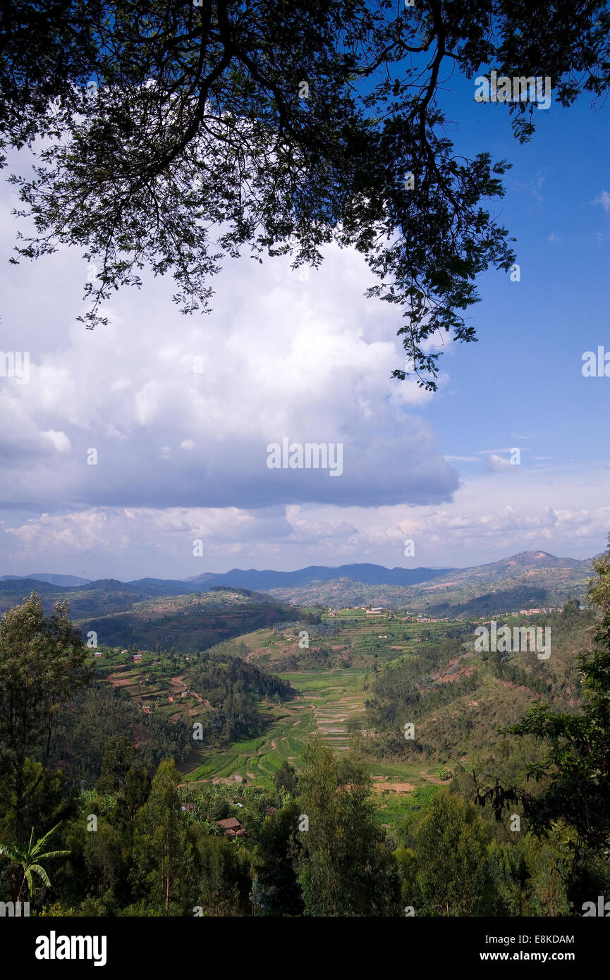 RWANDA, NYAMAGABE: The area here is very hilly, green and rural Stock ...