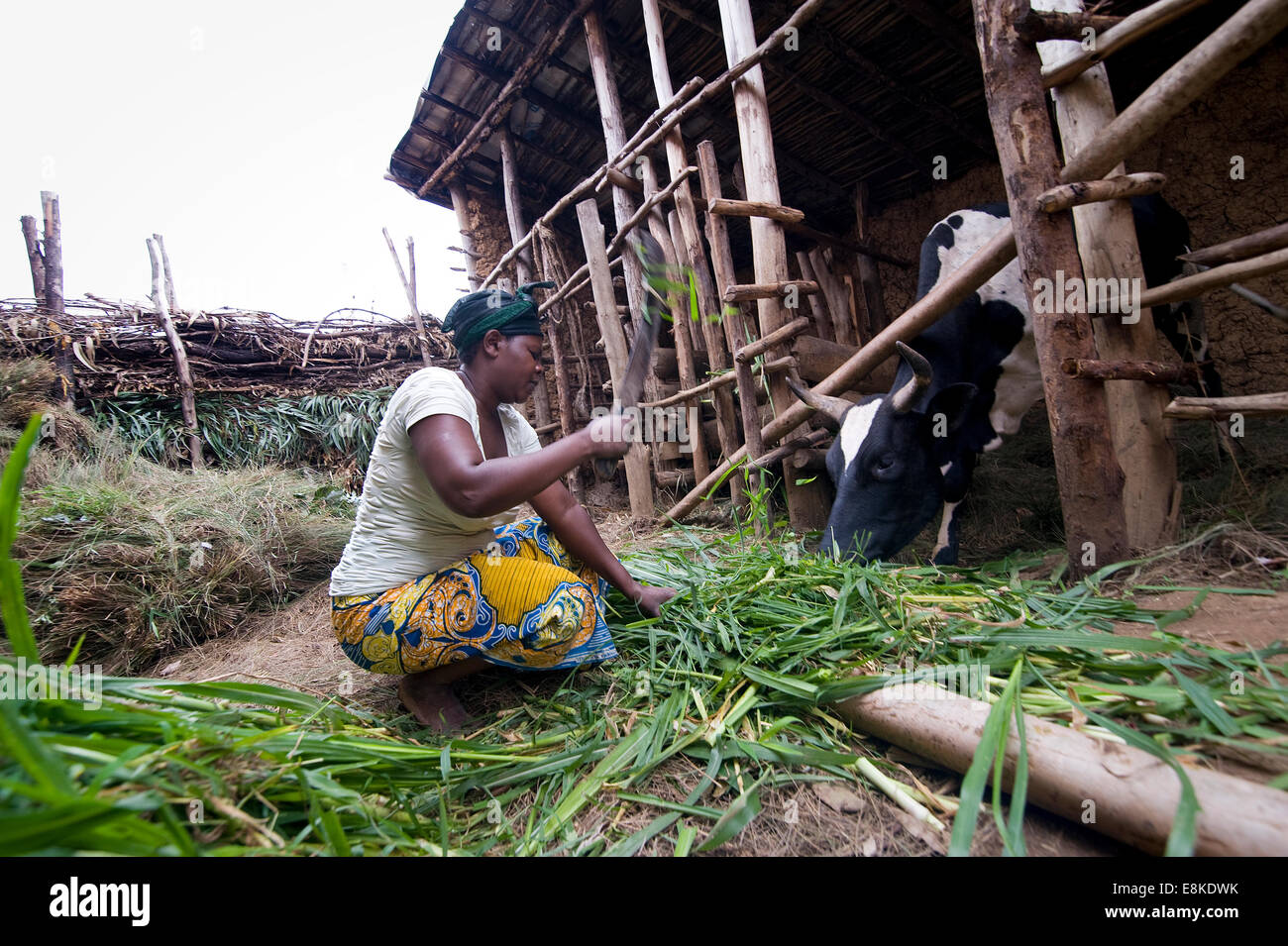 RWANDA, NYAMAGABE: Marie Mukadera lives in one of the poorest districts ...