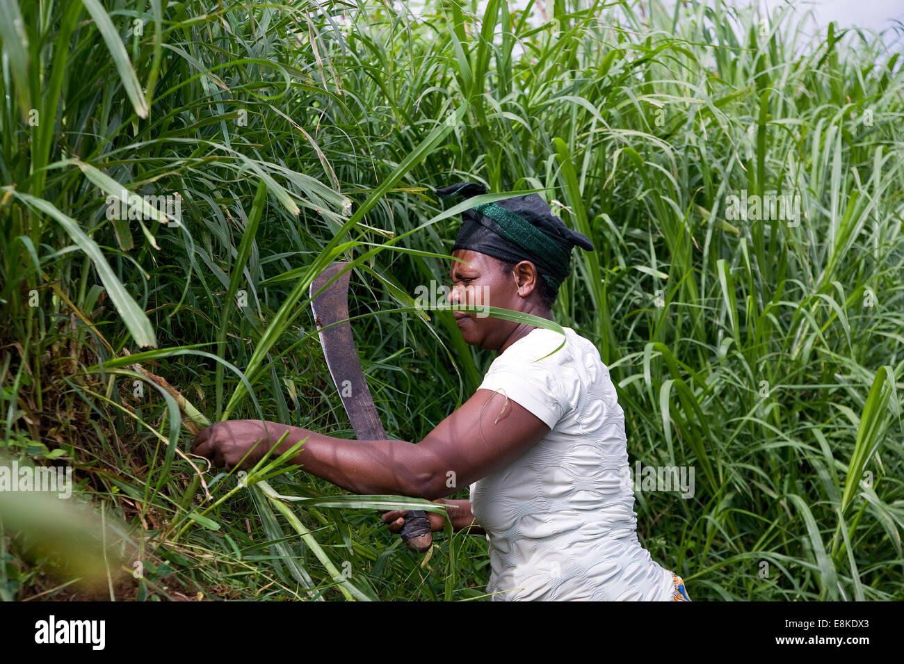 RWANDA, NYAMAGABE: Marie Mukadera lives in one of the poorest districts ...