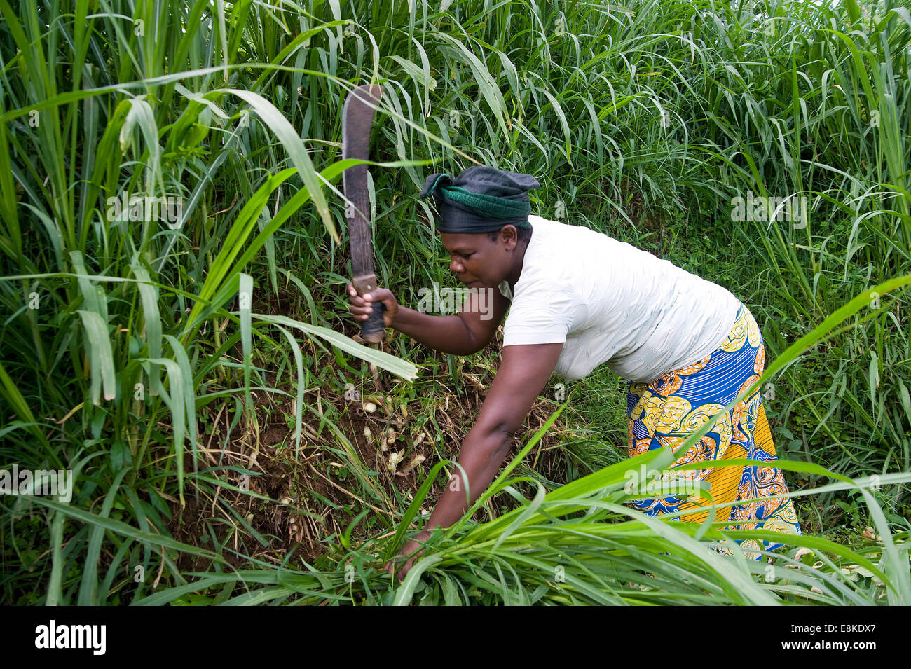 RWANDA, NYAMAGABE: Marie Mukadera lives in one of the poorest districts ...