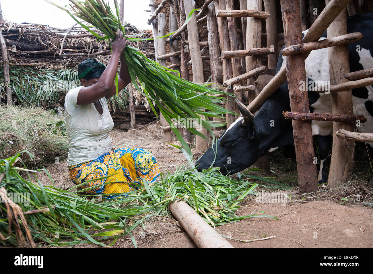 RWANDA, NYAMAGABE: Marie Mukadera lives in one of the poorest districts ...