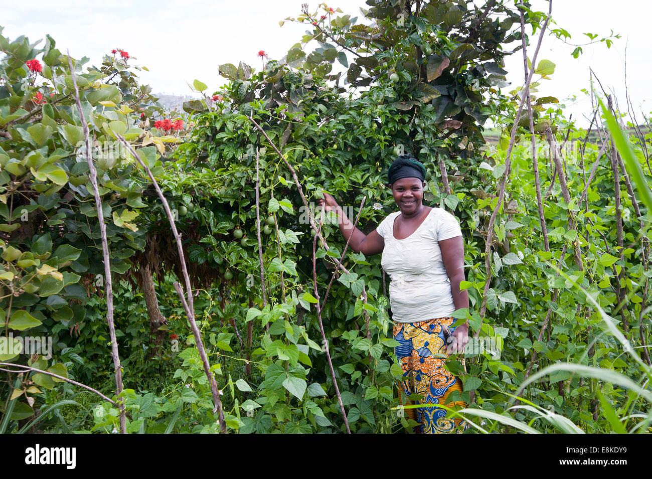 RWANDA, NYAMAGABE: Marie Mukadera lives in one of the poorest districts ...