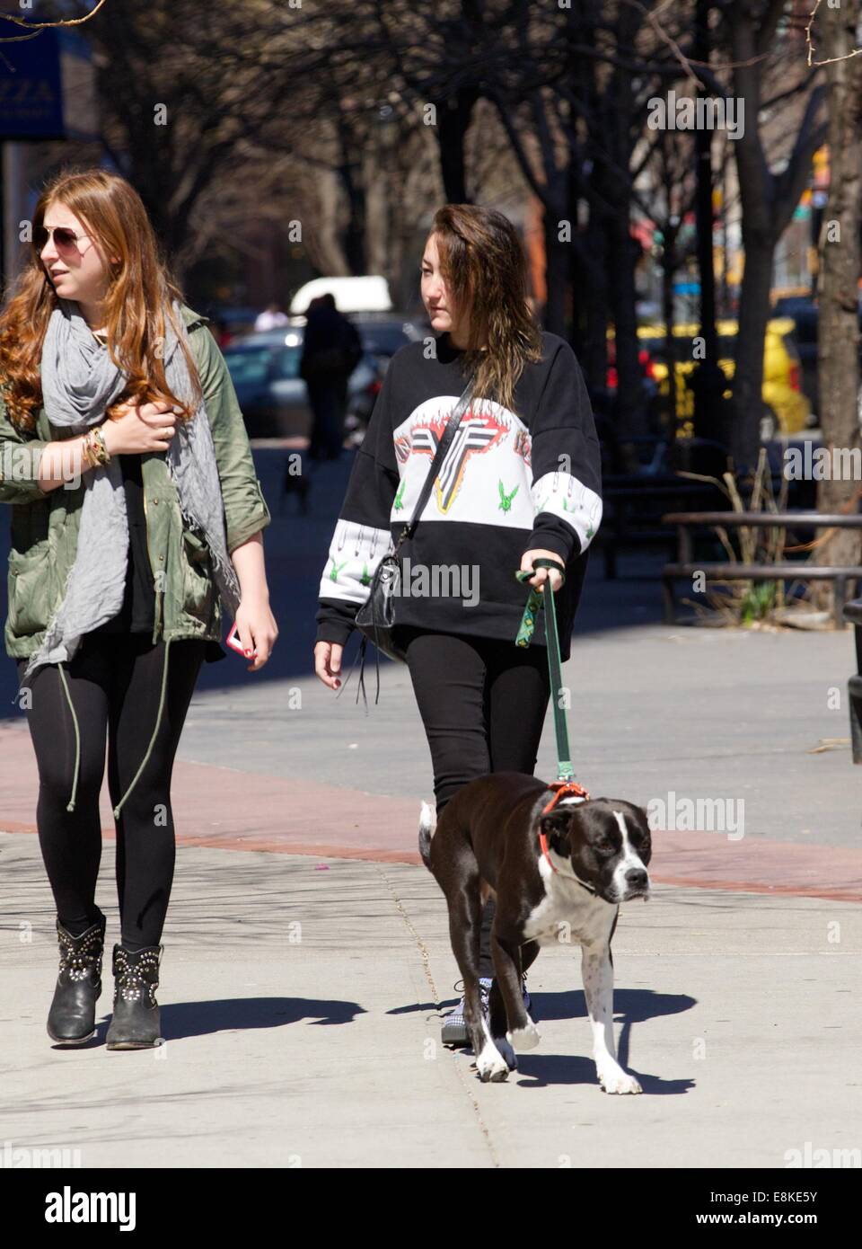 Noah Cyrus seen walking her chocolate and white pet dog called Mary ...