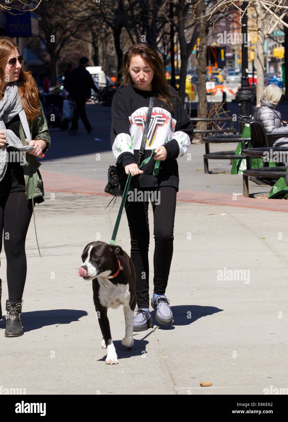 Mary jane dog hi-res stock photography and images - Alamy