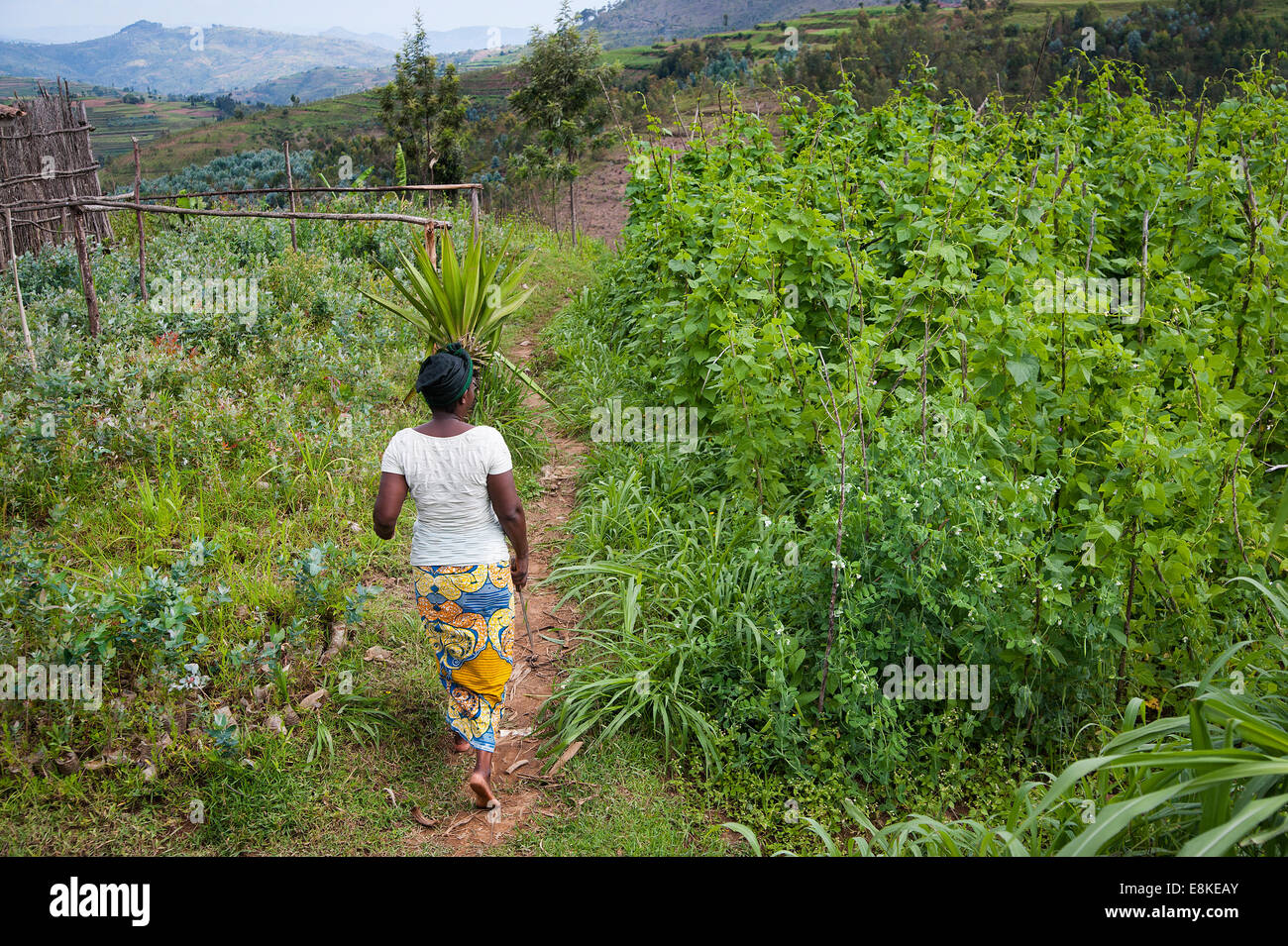 Nyamagabe hi-res stock photography and images - Alamy