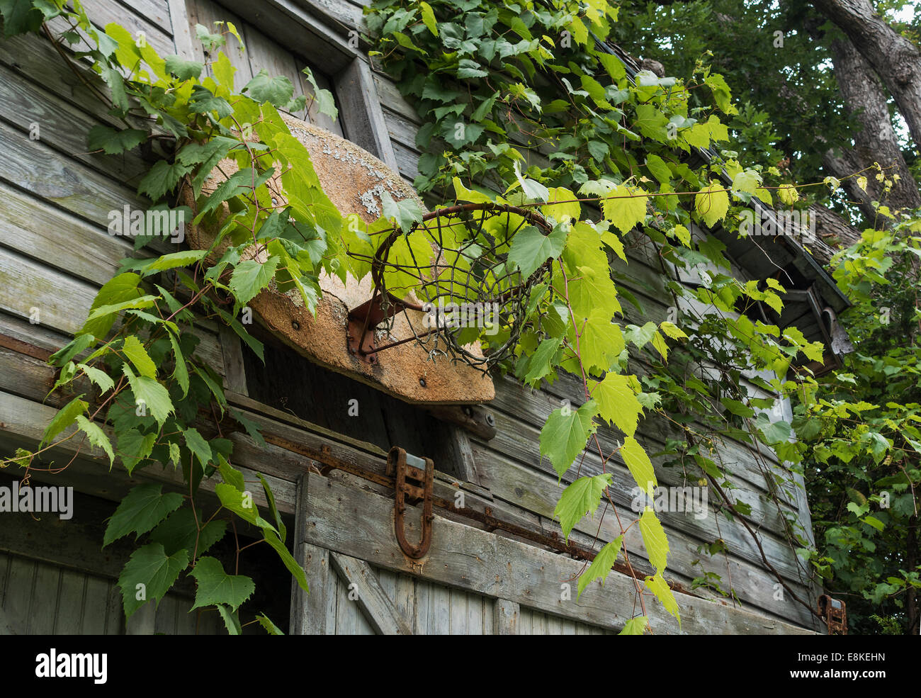 Basketball legends hi-res stock photography and images - Alamy