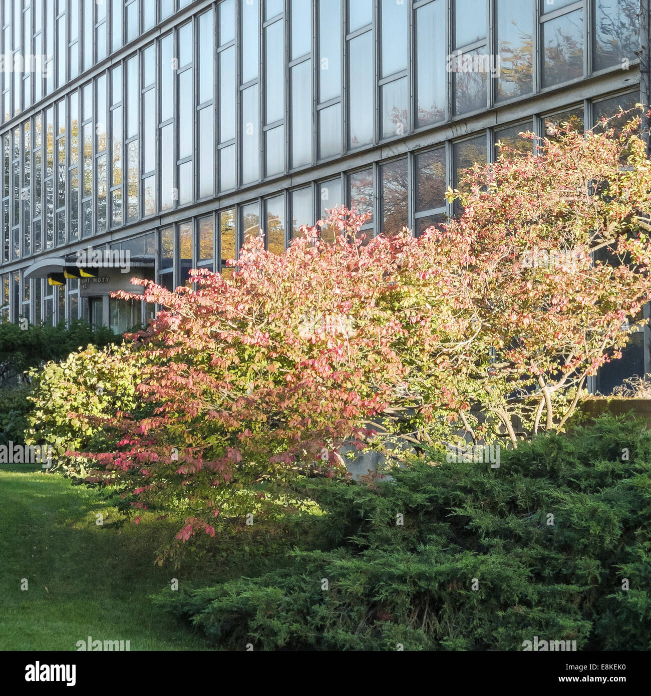 Charles Stewart Mott Building on the campus of the University of ...