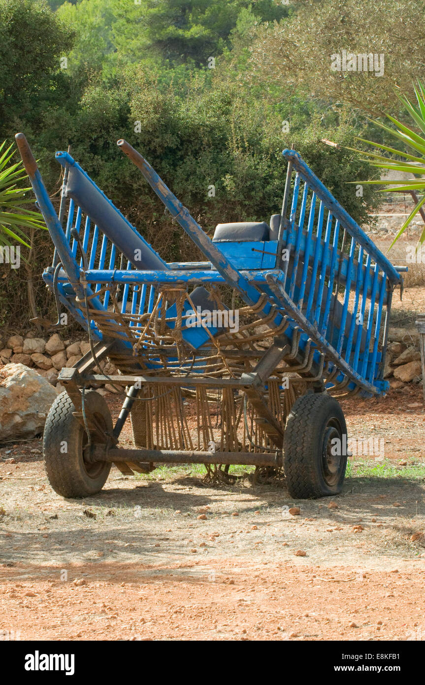 Sun drenched Mediterranean agricultural scene with beautiful bright ...