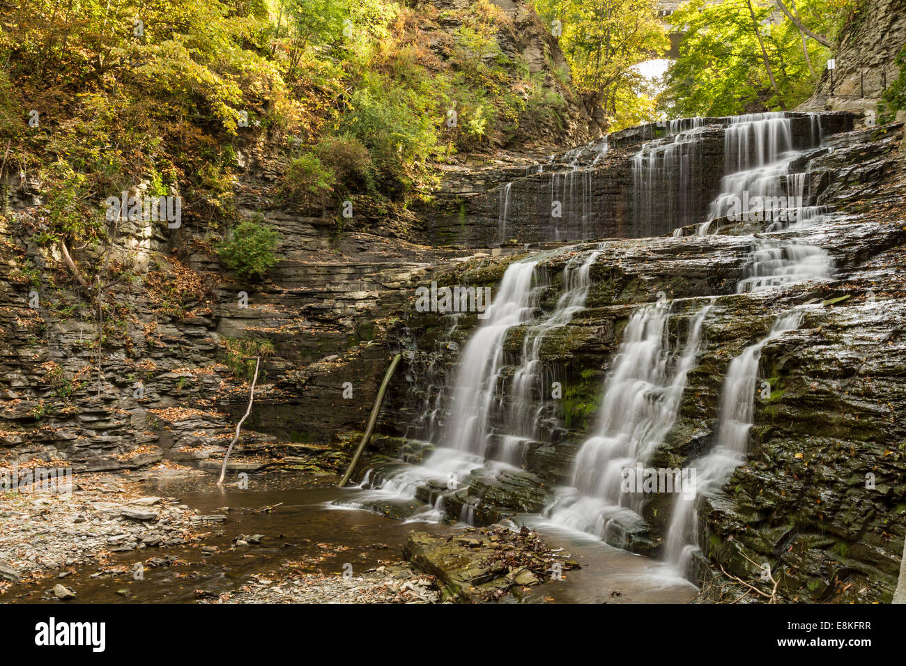 Cornell Campus Gorges