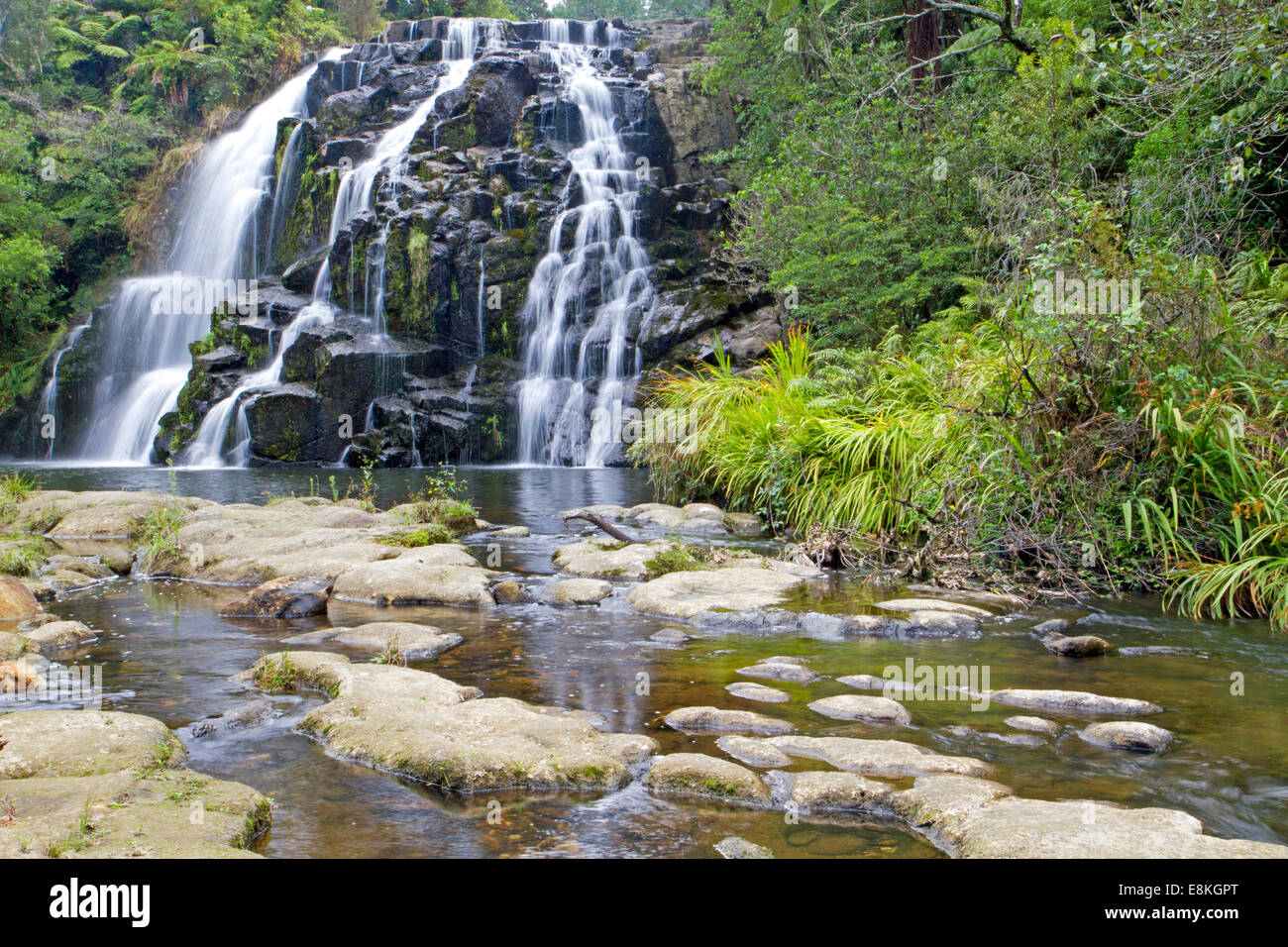 Owharoa Falls, inside Karangahake Gorge Stock Photo - Alamy