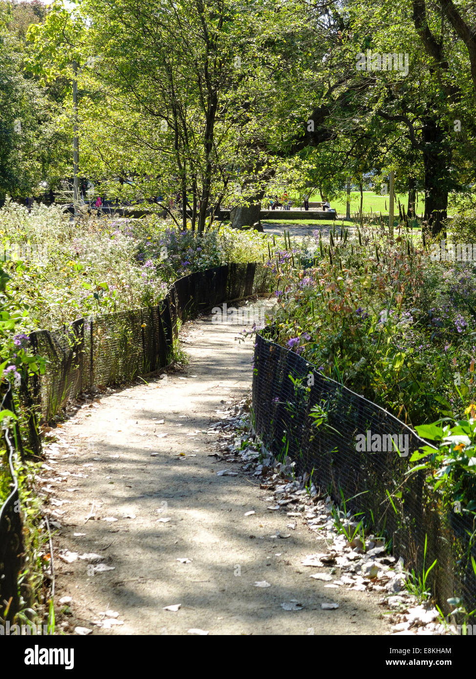 Path through communal garden in a public park in Hyde Park in early ...