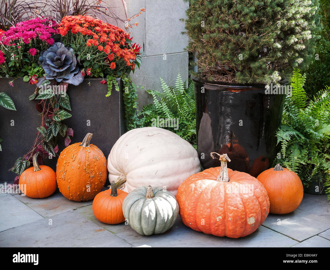 Fall of taste hi-res stock photography and images - Alamy