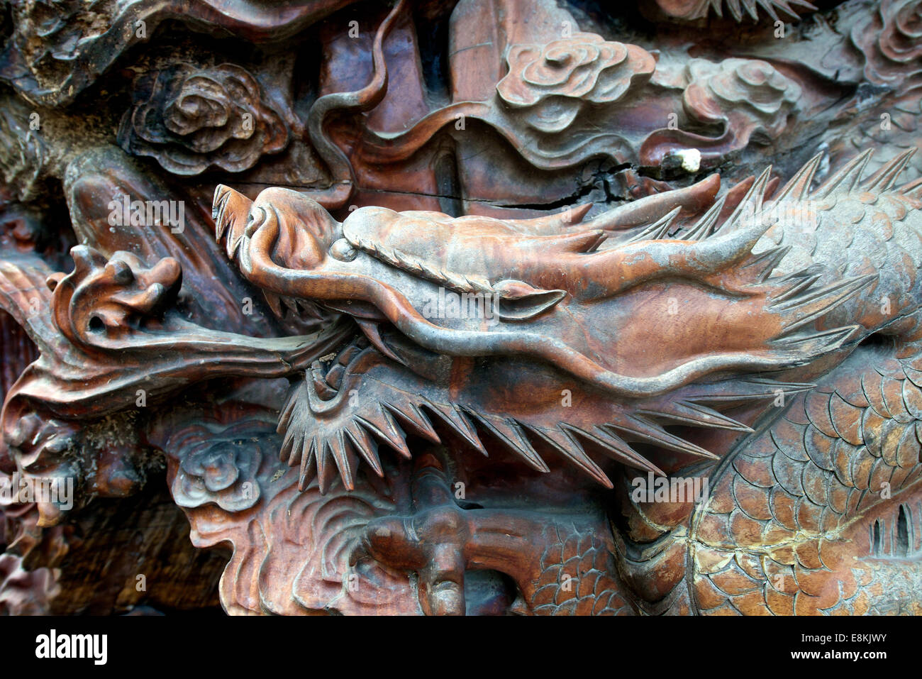 Brown dragon hi-res stock photography and images - Alamy