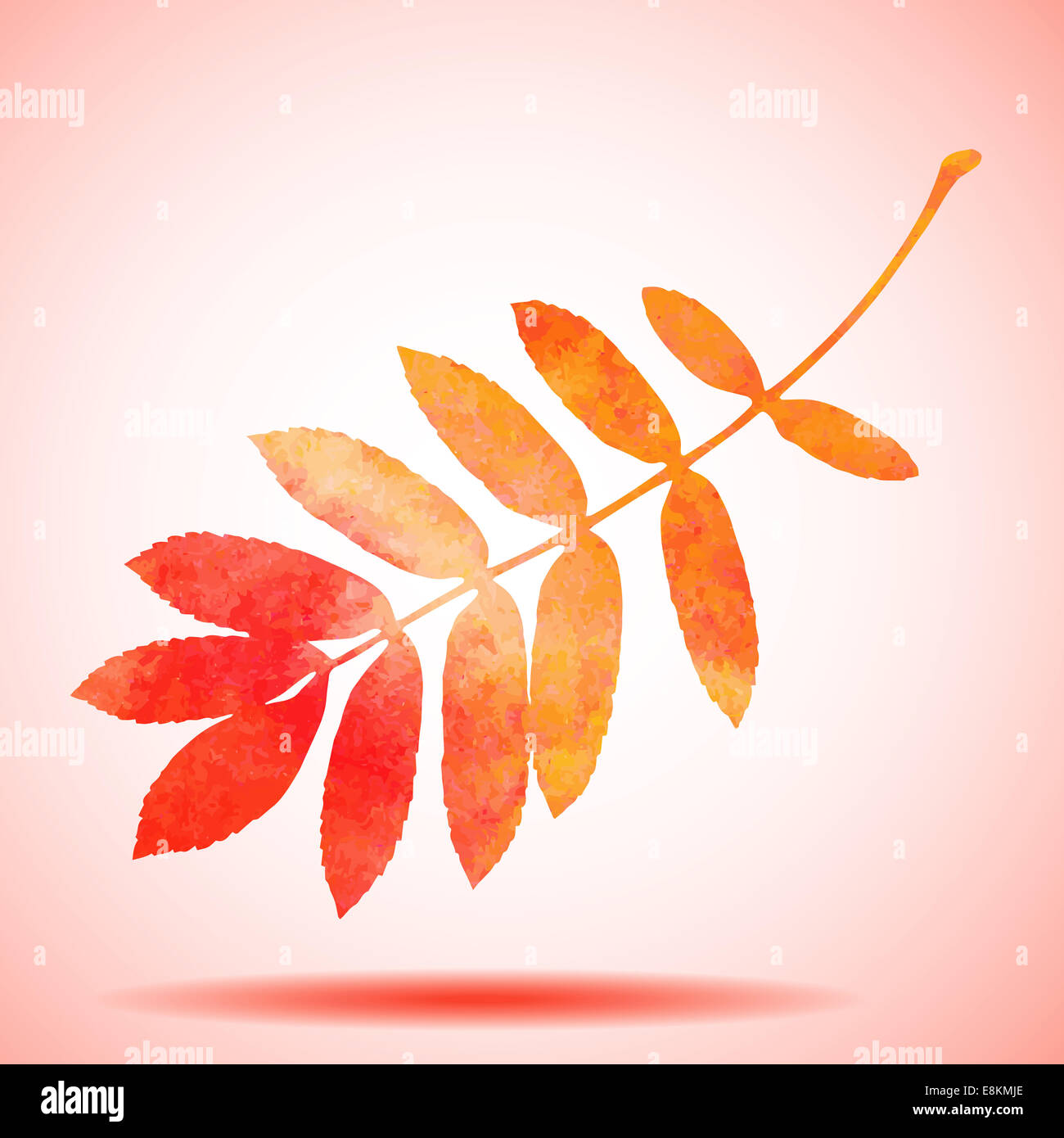 Maple ash and paint Cut Out Stock Images & Pictures - Alamy