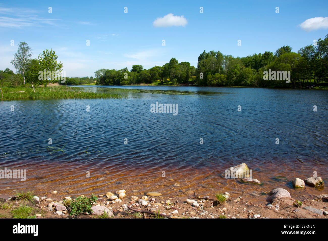Emajogi River, Kavastu, Tartu District, Estonia, Baltic States Stock ...