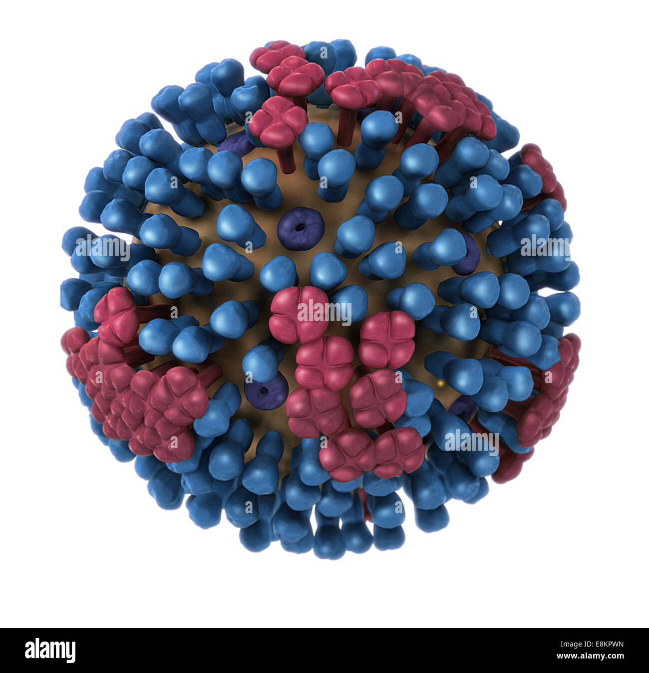 On white background, this illustration provides 3D graphical ...