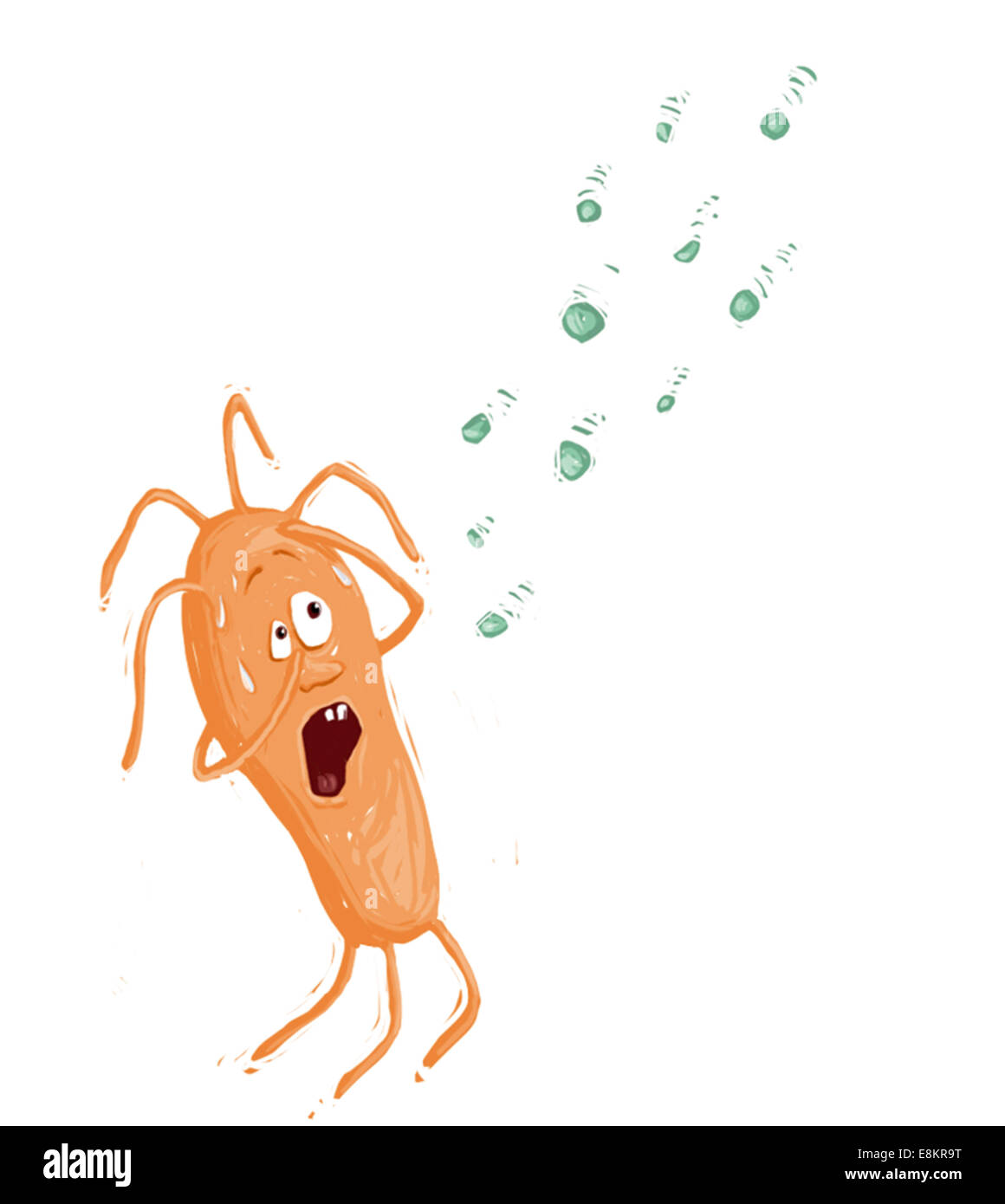 Bacteria that is sensitive to an antibiotic Stock Photo - Alamy