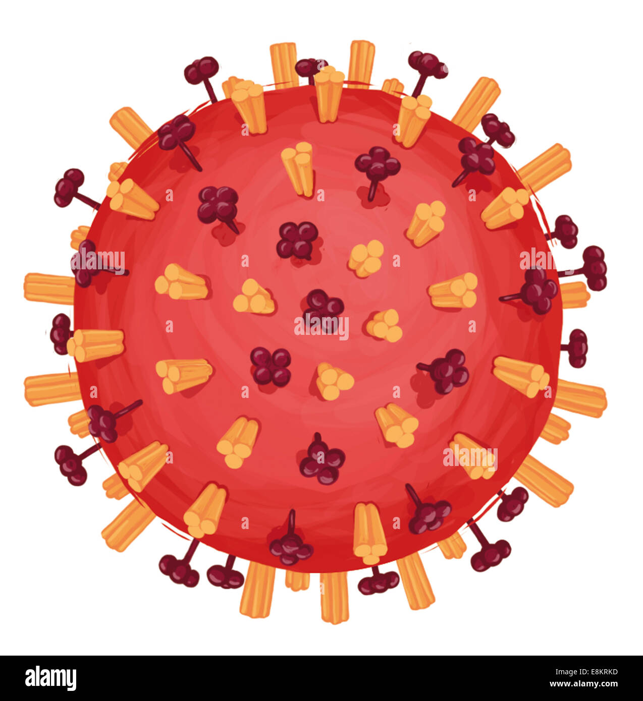 Influenza virus structures hi-res stock photography and images - Alamy