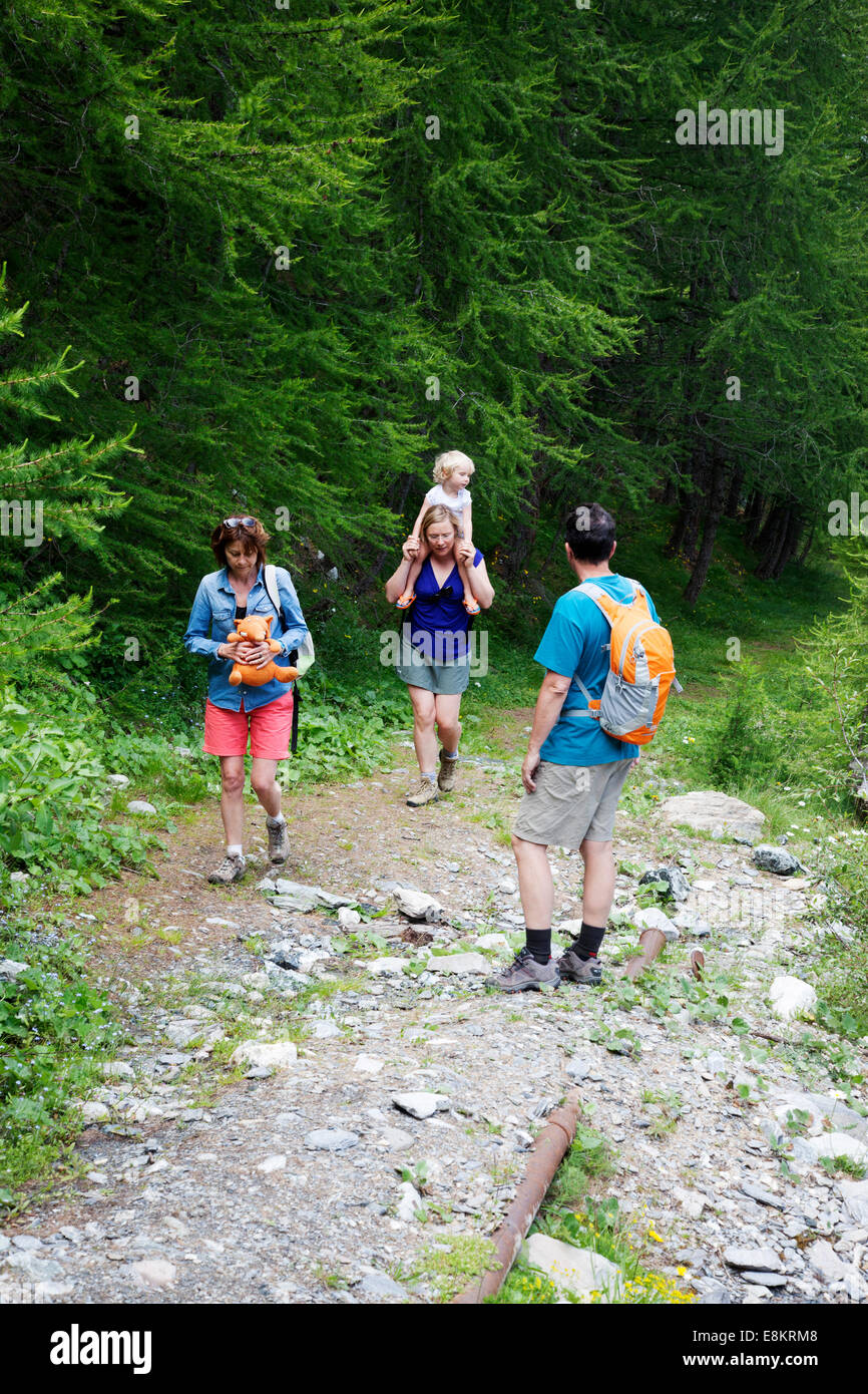 A group of hikers Stock Photo - Alamy