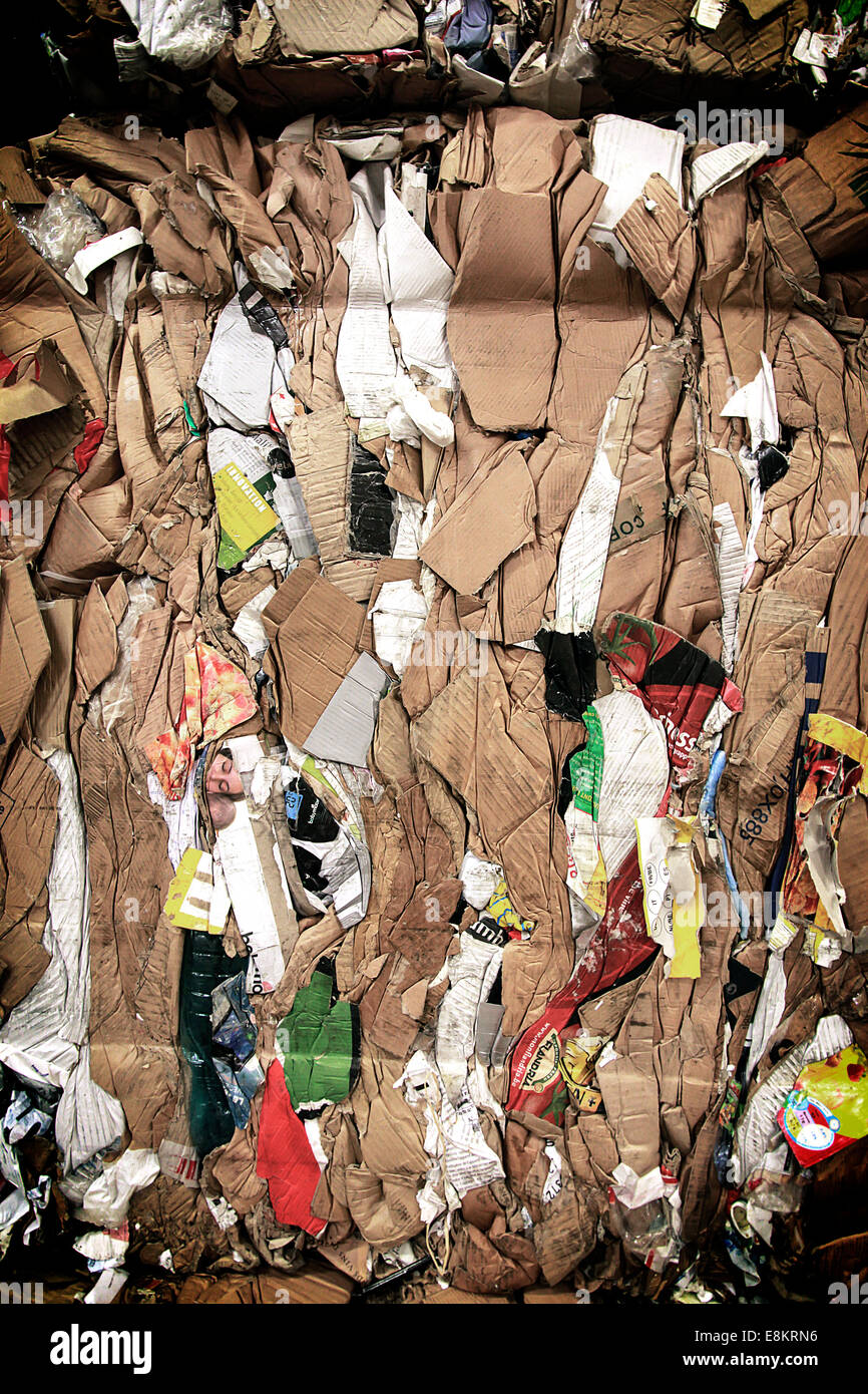A waste sorting facility. Recycling cardboard packaging Stock Photo - Alamy