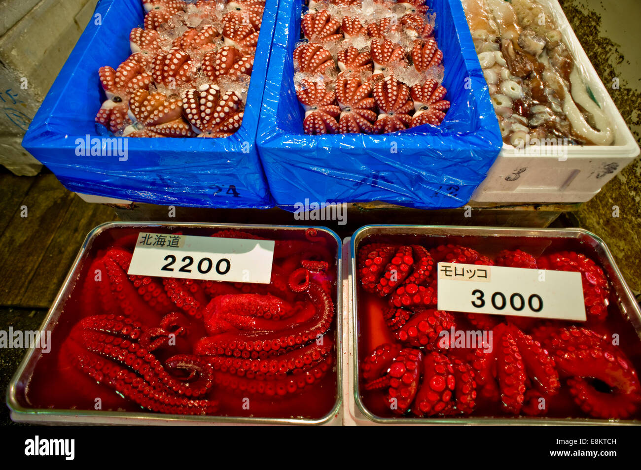 Japan river red fish hi-res stock photography and images - Alamy