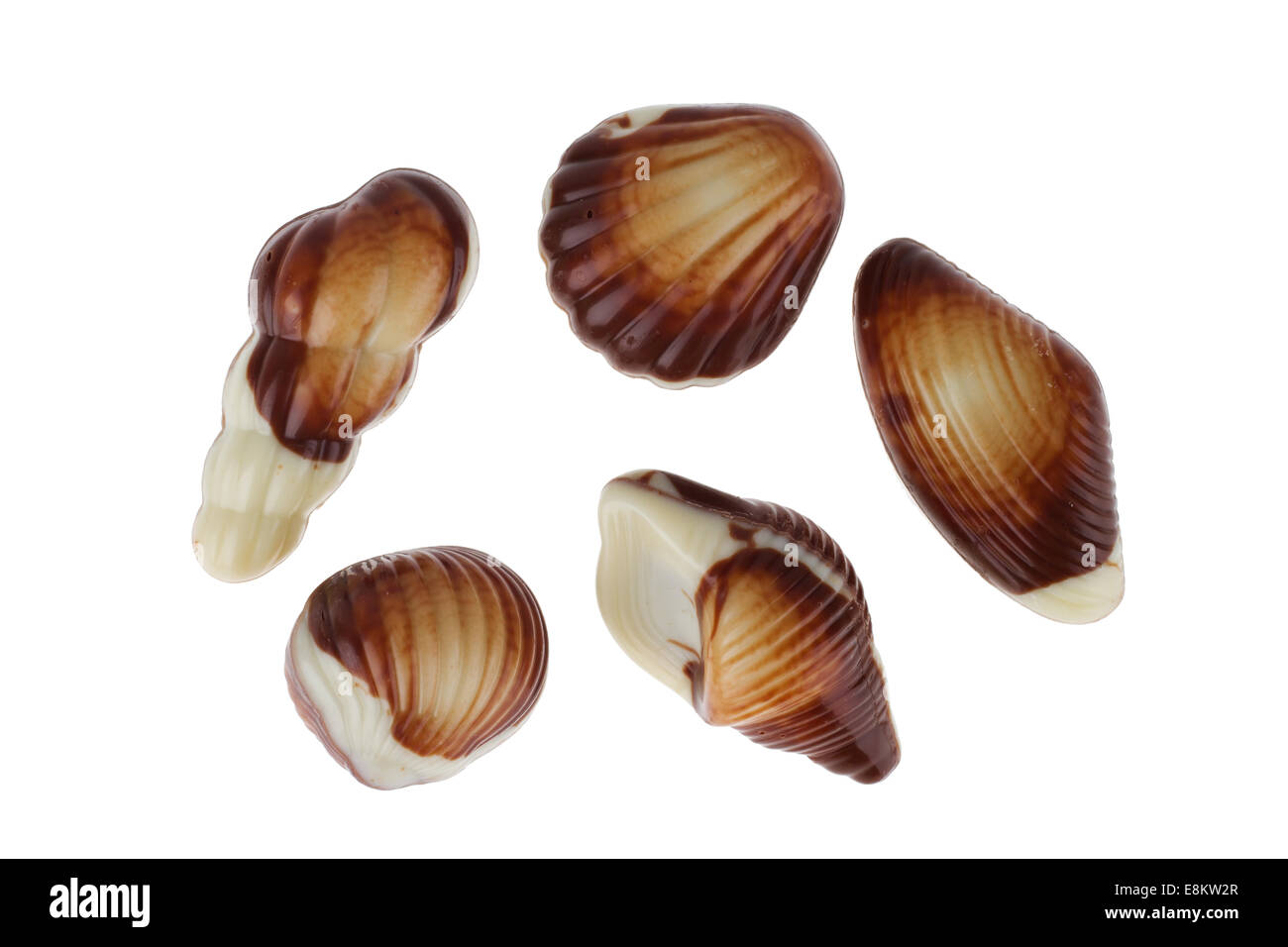 Mixed pieces of chocolate seashell candies Stock Photo - Alamy
