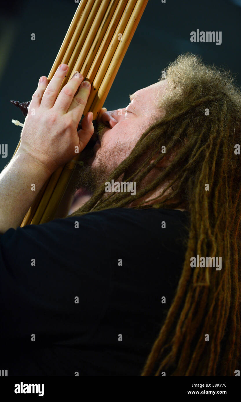 Musical instrument specialist hi-res stock photography and images - Alamy