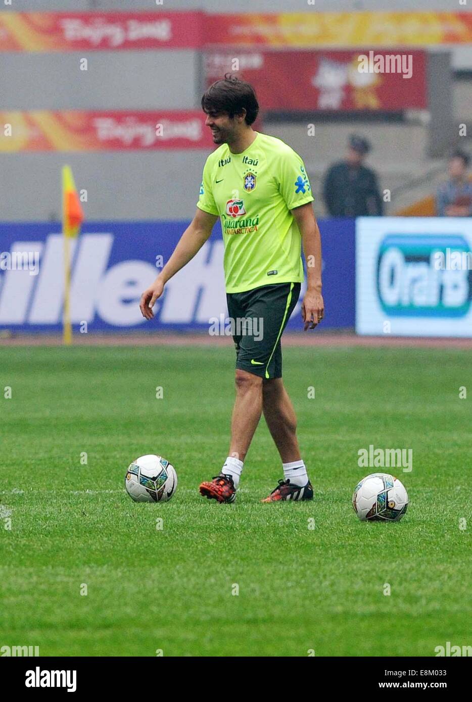 Brazilian kaka hi-res stock photography and images - Alamy