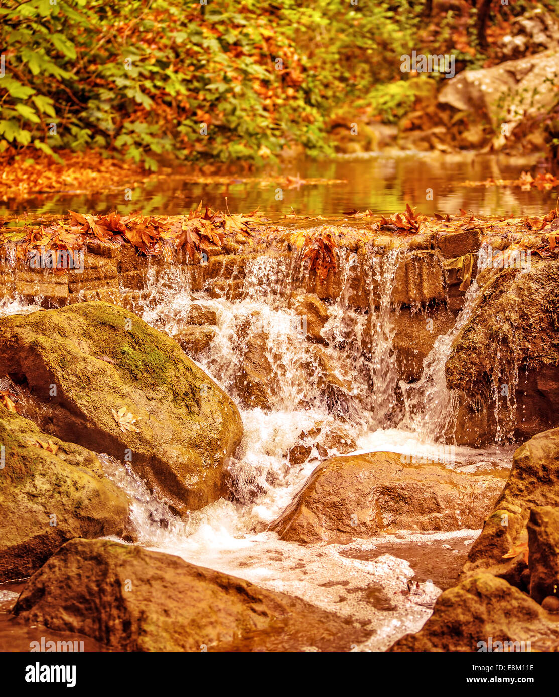 Beautiful autumn in the forest hi-res stock photography and images - Alamy