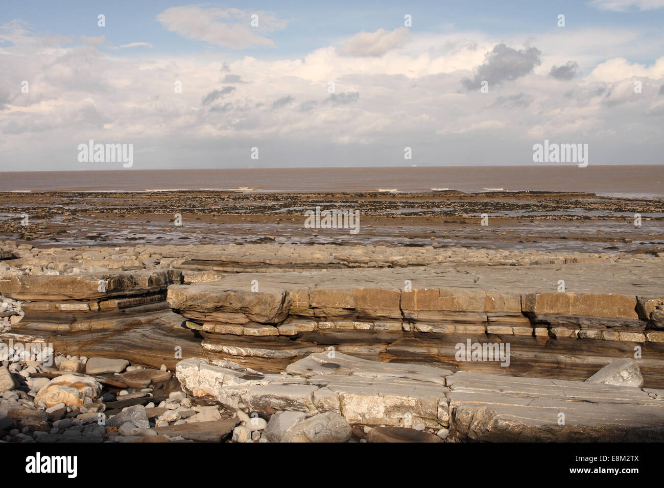 Lilstock Somerset UK jointed limestone bed at Lilstock beach a SSSI ...