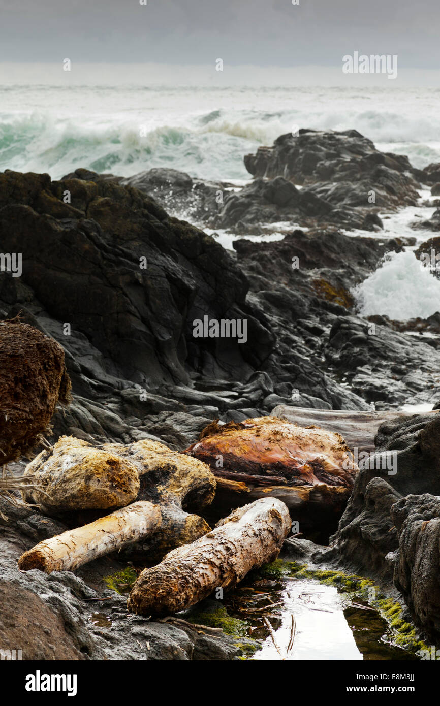 Yachats hi-res stock photography and images - Alamy