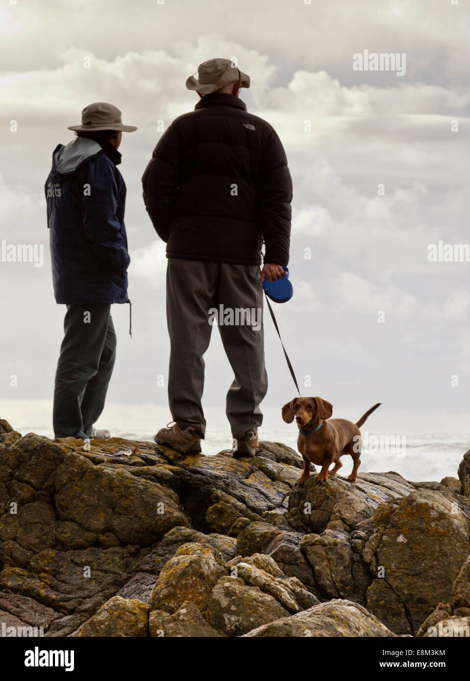 Two Men And A Dog High Resolution Stock Photography and Images - Alamy