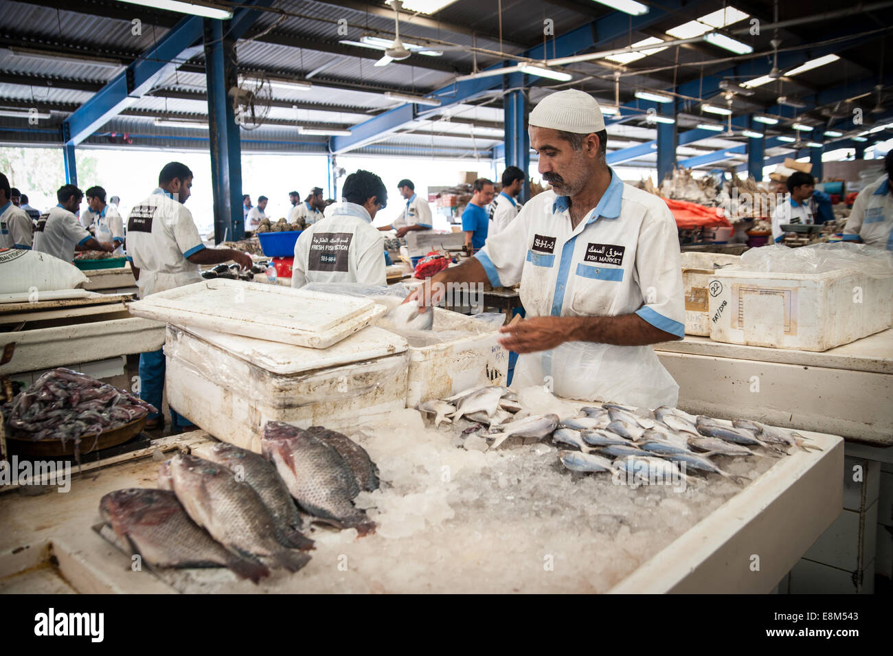 The Fish Market Dubai, United Arab Emirates Stock Photo - Alamy