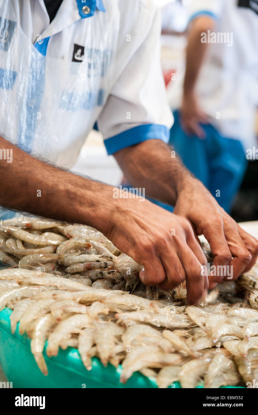 The Fish Market Dubai, United Arab Emirates Stock Photo - Alamy
