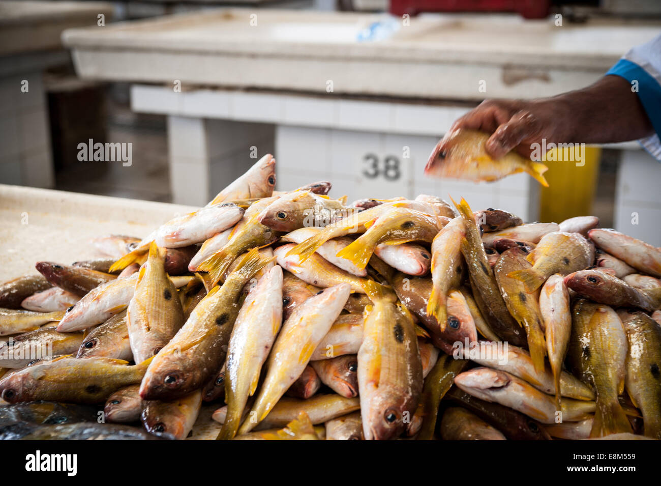 The Fish Market Dubai, United Arab Emirates Stock Photo - Alamy