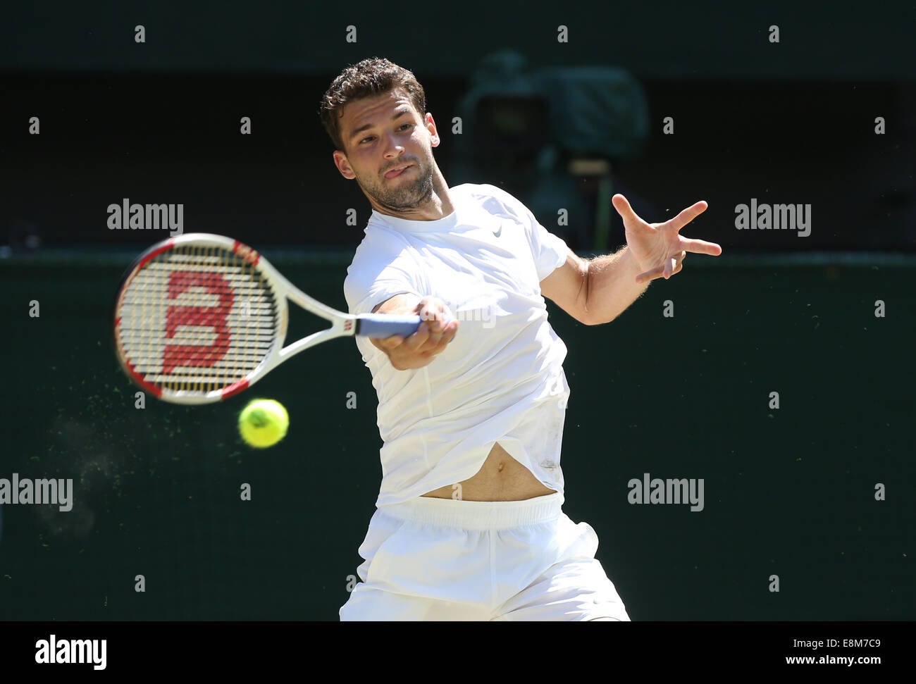 Grigor dimitrov hi-res stock photography and images - Alamy
