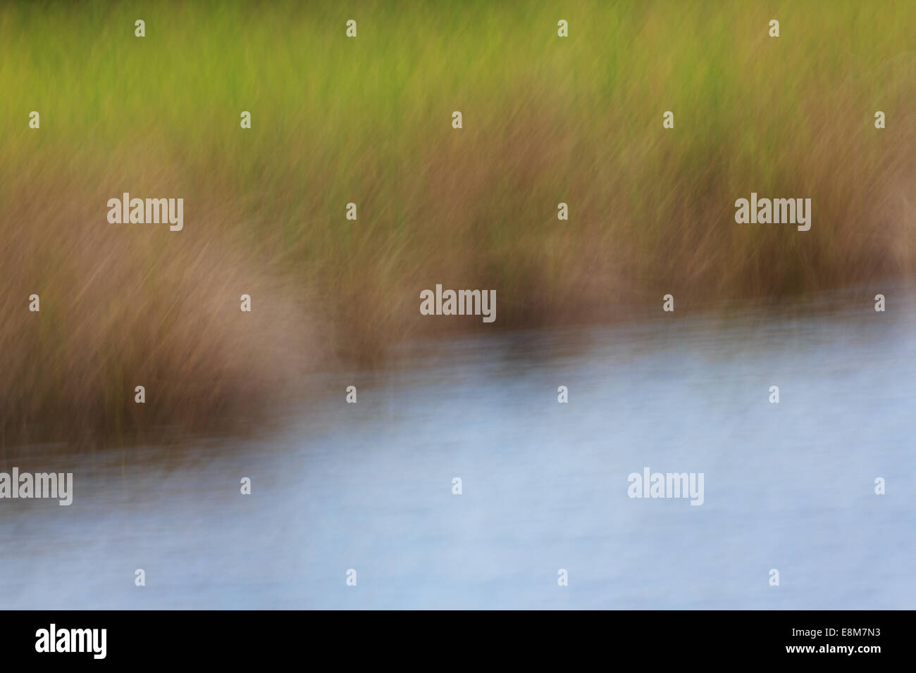 Marsh and water blurred Stock Photo - Alamy