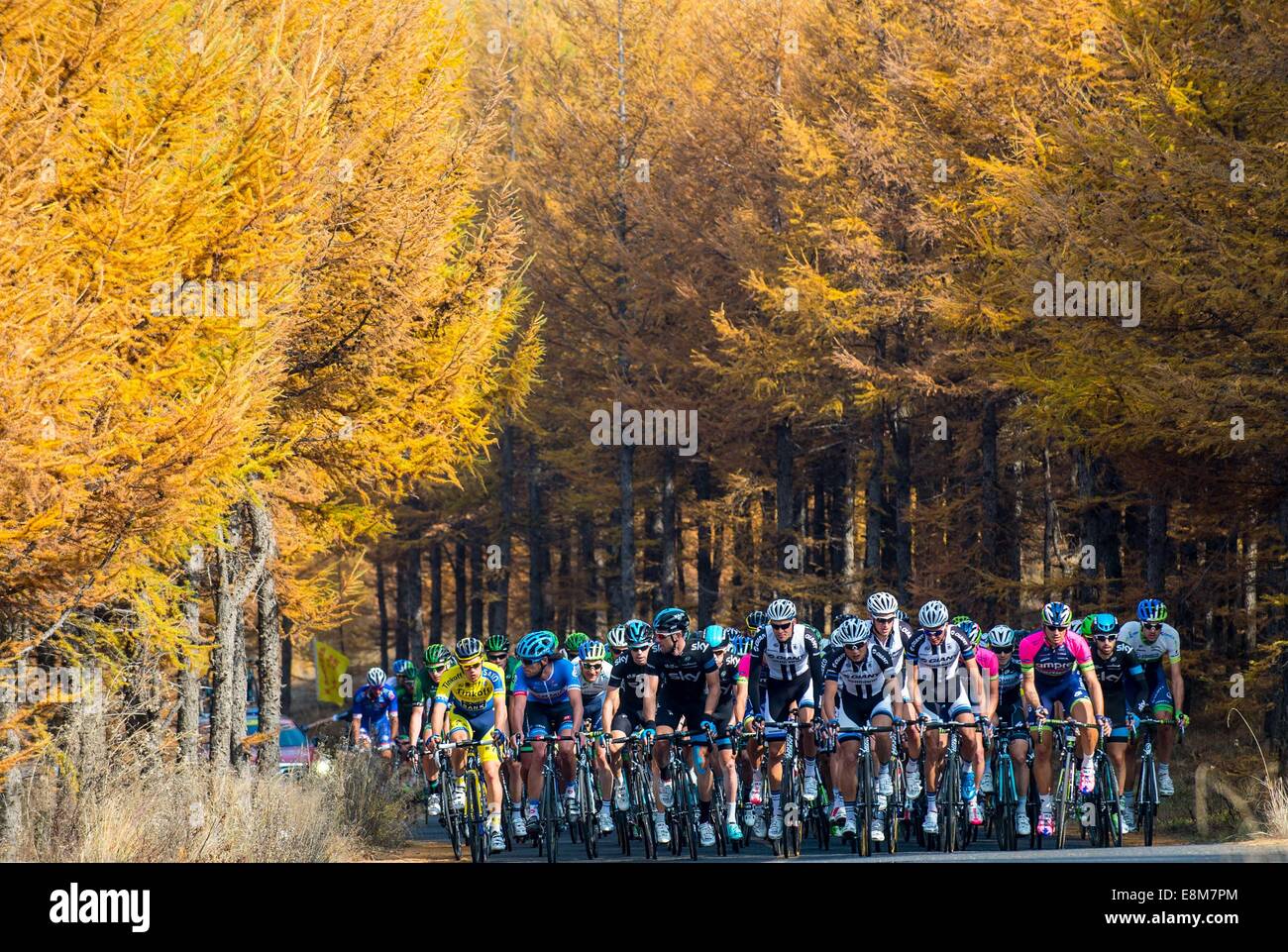 Chongli. 10th Oct, 2014. Cyclers compete during the first stage from ...