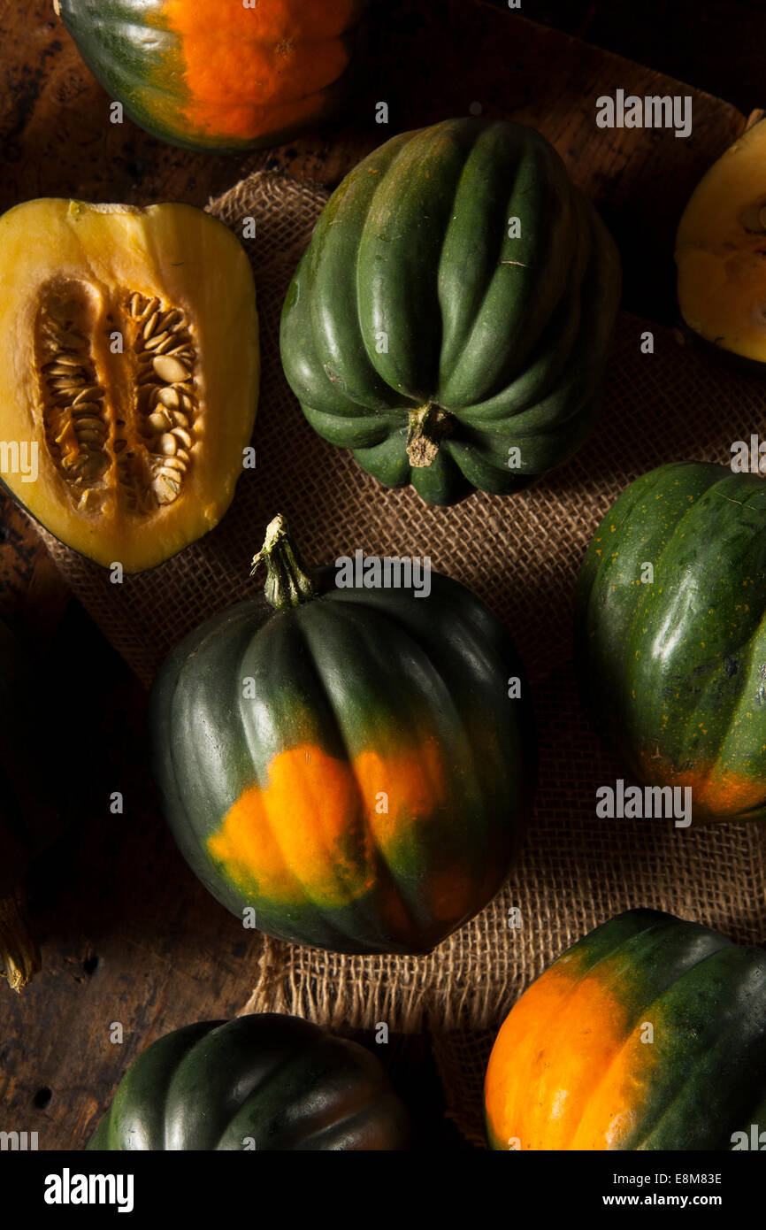 Raw Organic Green and Orange Acorn Squash Stock Photo - Alamy