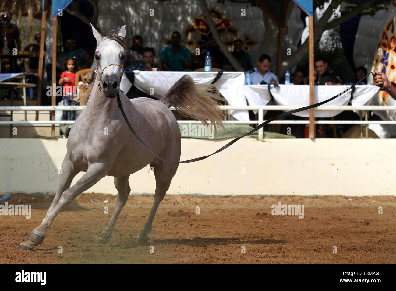 Jericho, West Bank, Palestinian Territory. 10th Oct, 2014. Palestinians ...