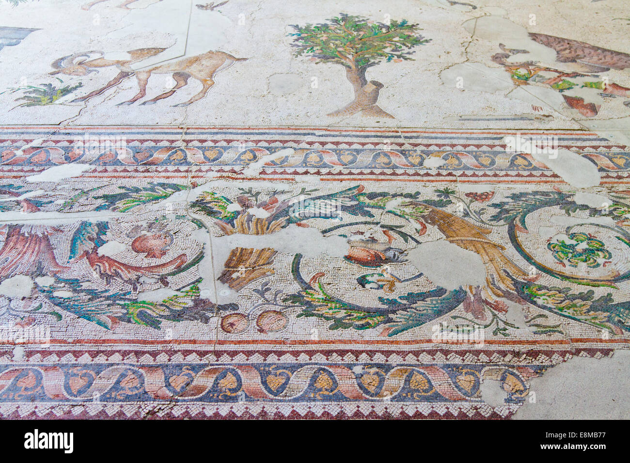 Great Palace Mosaic Museum Stock Photos & Great Palace Mosaic Museum ...