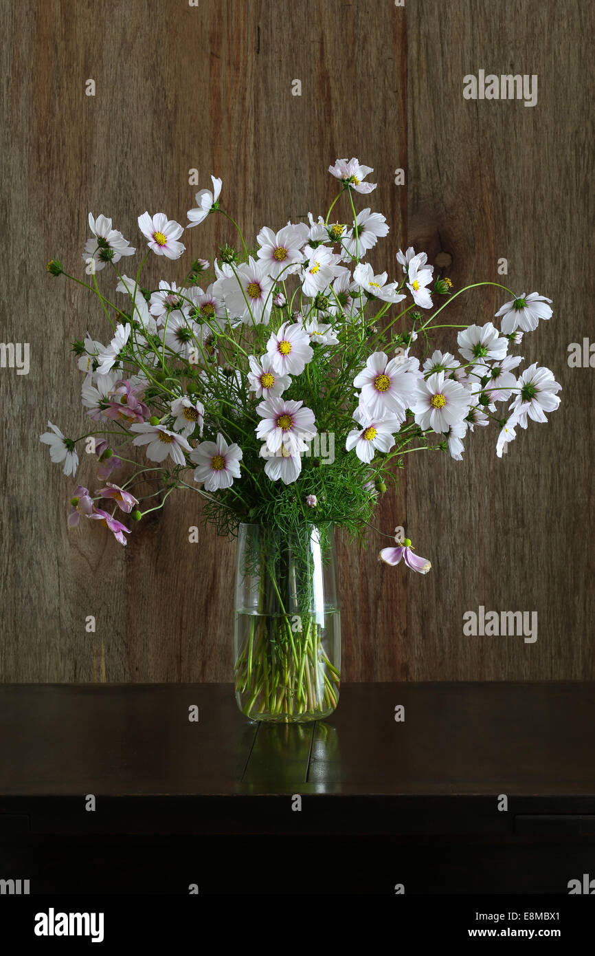 Bunch of white and pink garden cosmos flowers bouquet in vase on dark ...