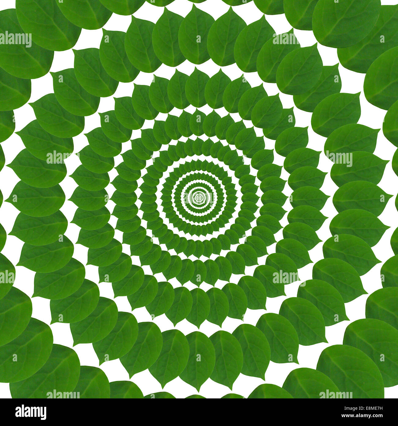 Abstract spiral leaf pattern hi-res stock photography and images - Alamy
